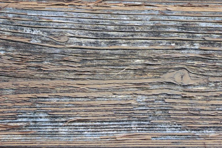 Intumescent Paint for Wood: What You Need to Know in 2022